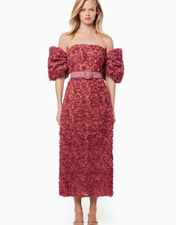 Elliatt Intimacy Dress – the style squad